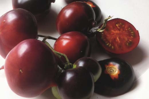 Les Tomates Indigo : une révolution dans l'arc-en-ciel des tomates