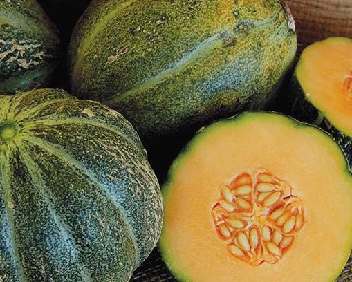 Le Monde est une Melonnière