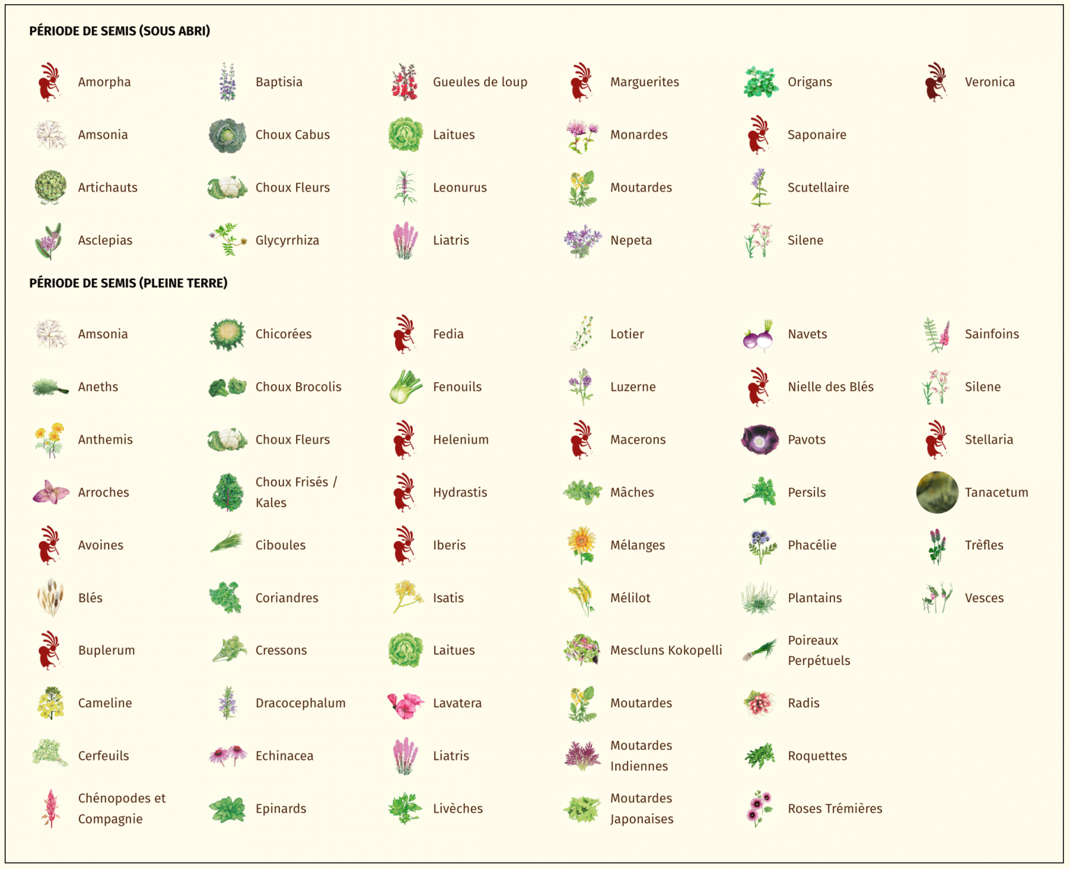 Septembre au potager