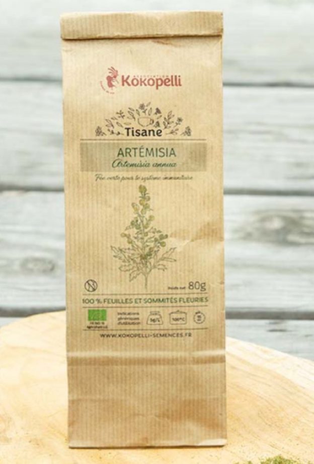 La Tisane d'Artemisia annua est de retour