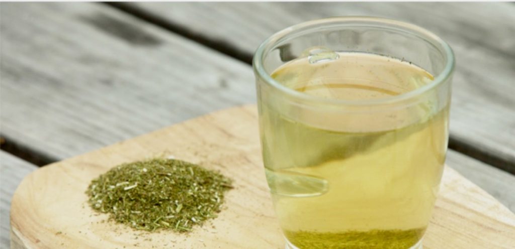 Comment Faire Tisane Artemisia Annua – PGDTPV