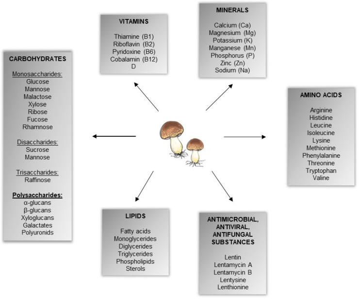 Que ton Aliment soit ta Première Médecine! Champignons, Enzymes ...